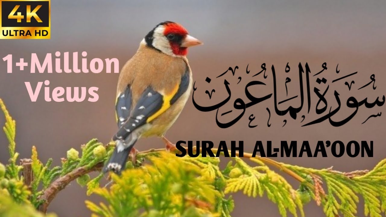 Surah Al-Maa'oon | {Surah Al-Maa'oon with HD Text} Word by Word Quran ...
