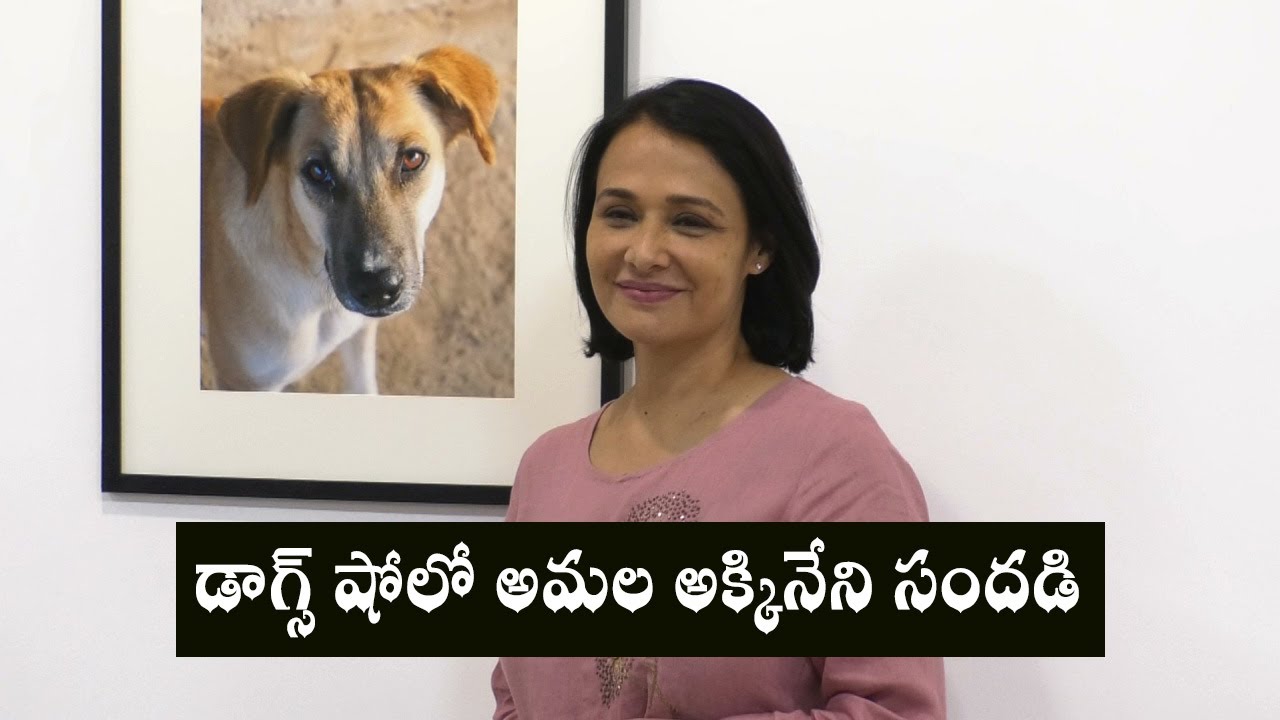 Portraiture of Compassion : A Photo Exhibition by Kandukuri Ramesh Babu ...