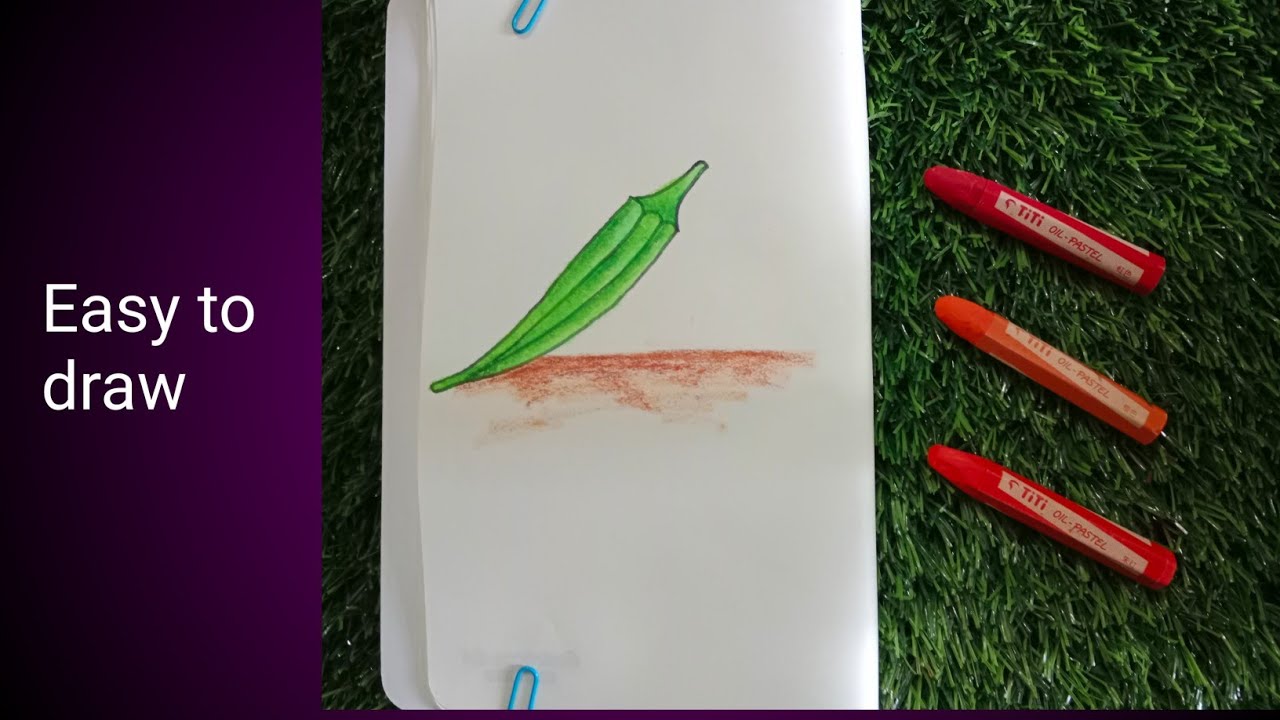 How to draw ladies finger( easy step by step) - YouTube