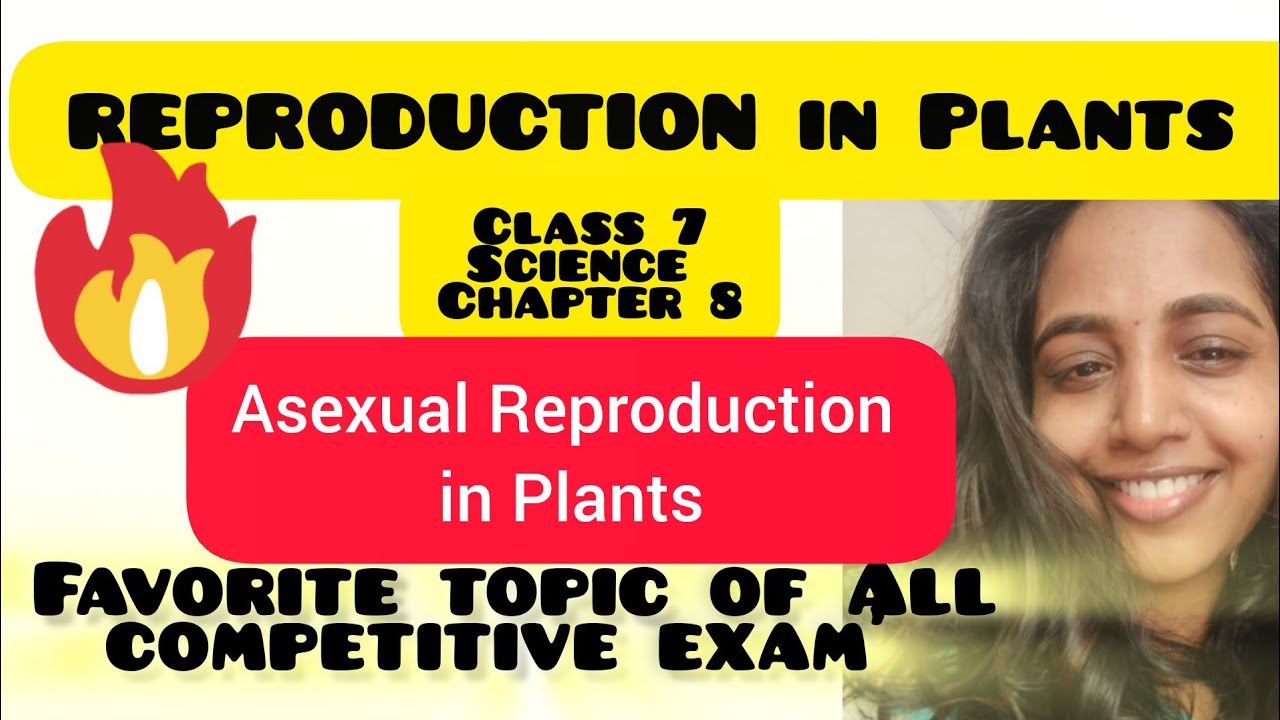 REPRODUCTION IN PLANTS - ASEXUAL REPRODUCTION|CLASS 7 SCIENCE|CHAPTER 8 ...