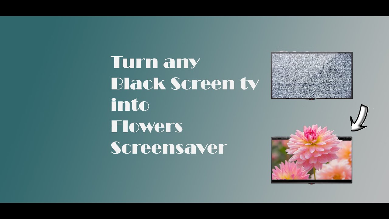 Beautiful Flowers Screensaver. Turn your black screen to an art frame ...
