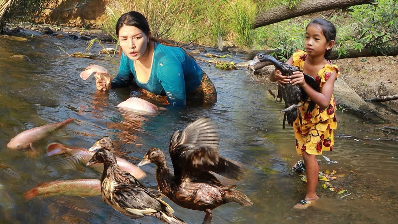 Catch fish &Duck for food of survival-Fresh fish crispy so delicious ...
