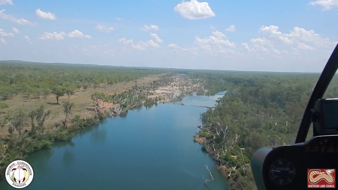 Wagiman Ranger Story - Bellyache Bush 2016-2017 - YouTube