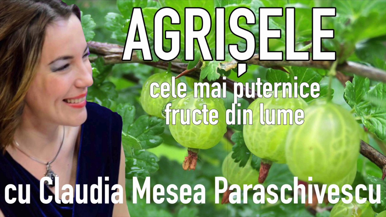 Fructele Frumusetii, Agrisele * Cele mai puternice fructe din lume ...