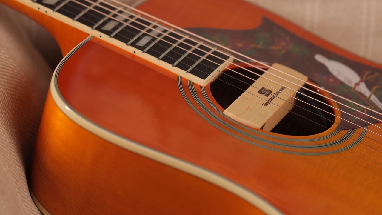 Tocando ao vivo com cantora Dani Ribeiro usando no violão Seymour ...