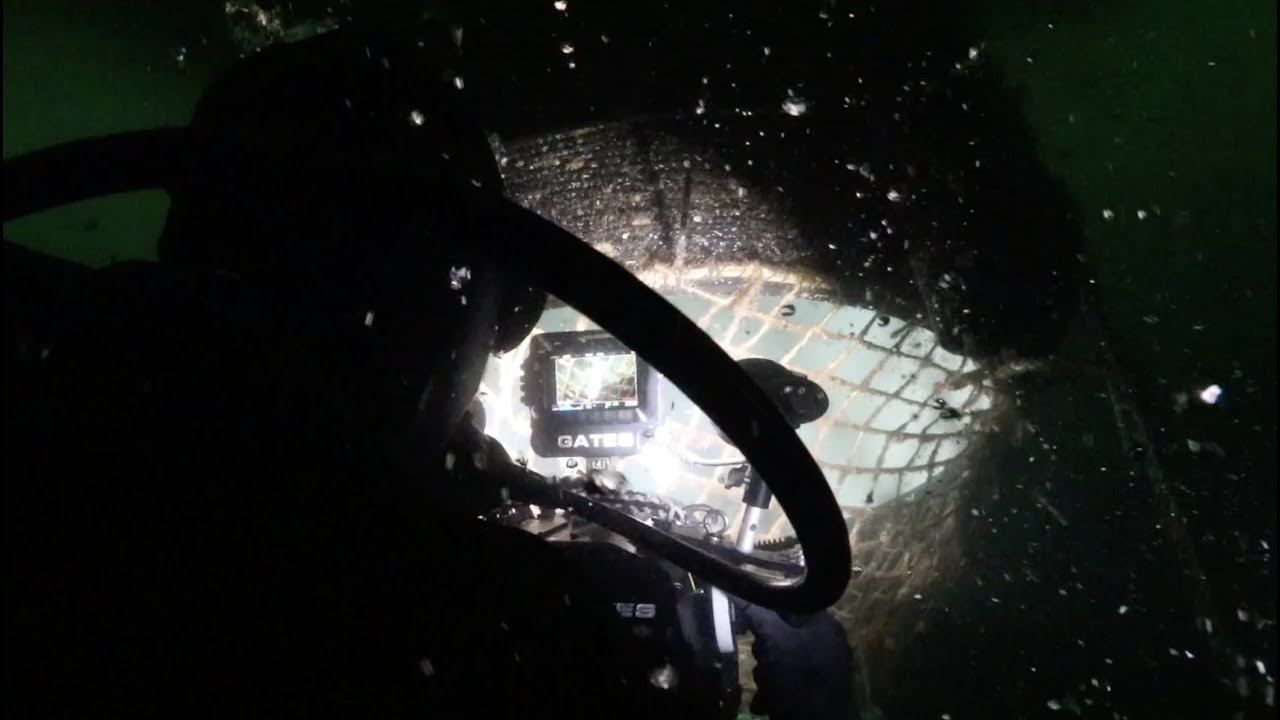 Semi-closed containment systems will not protect wild salmon | Wild ...