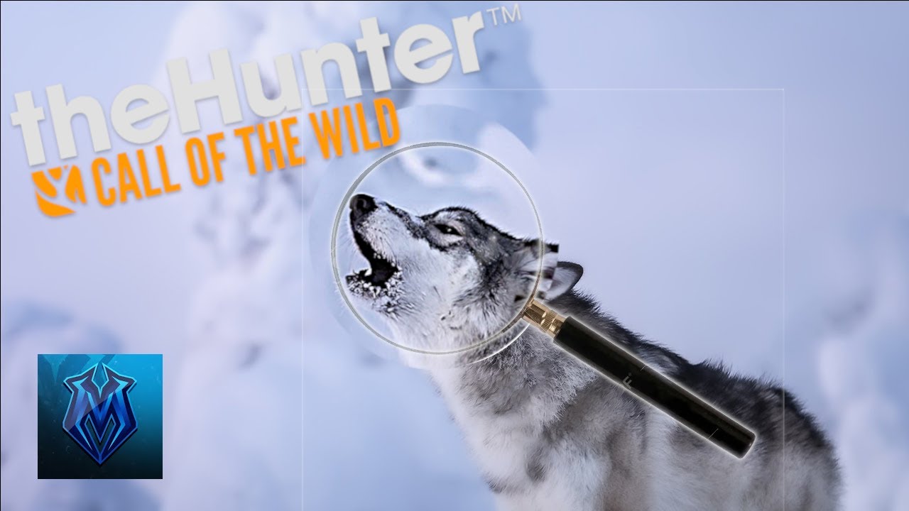 EXPLORING YUKON! : (The Hunter Call Of The Wild) - YouTube