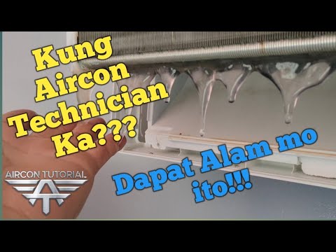 Bacterial Zooglea What is it? - YouTube