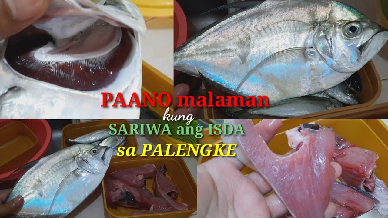 PAANO makakasiguradong sariwa ang ISDA na mabibili mo sa PALENGKE?🤔 ...