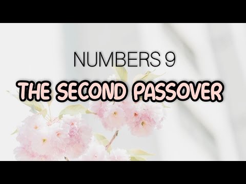 NUMBERS 9 NKJV: THE SECOND PASSOVER (Audio Bible) - YouTube