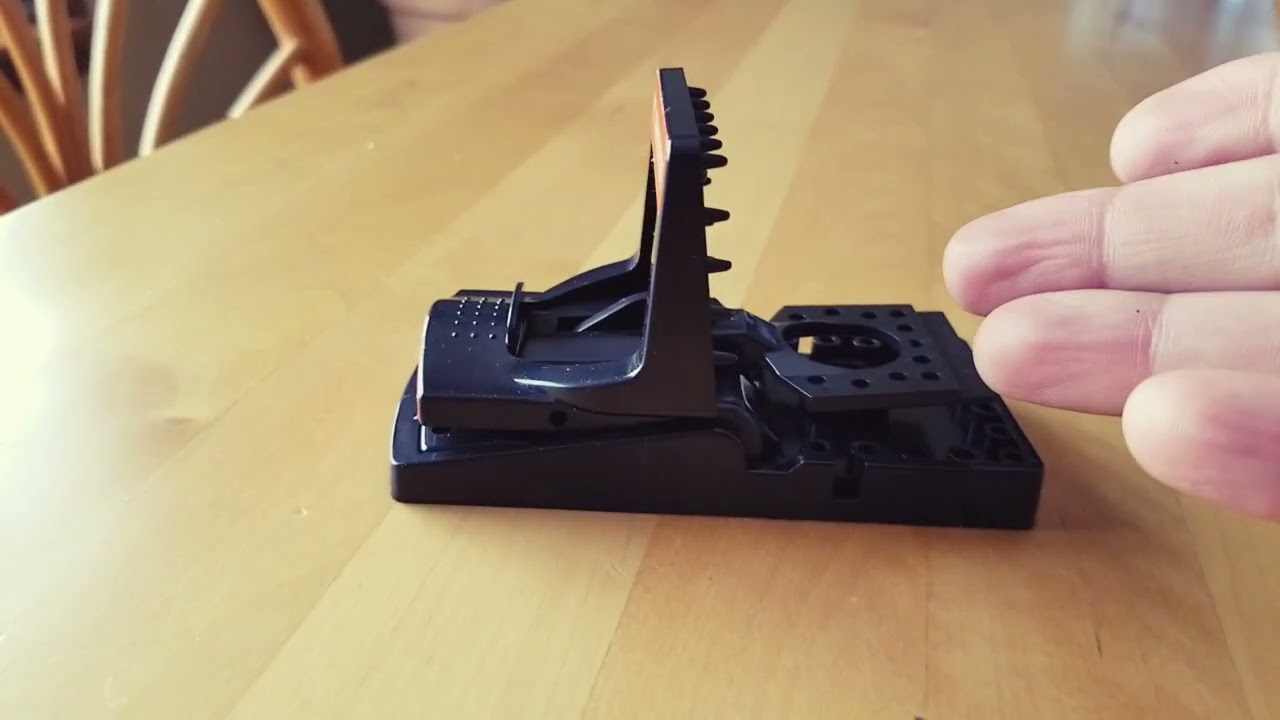 A demonstration of the PIC Simple Set Mouse Trap. - YouTube