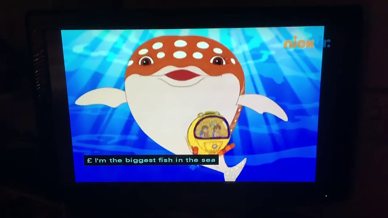 Go Diego Go whale shark mystery part2 - YouTube