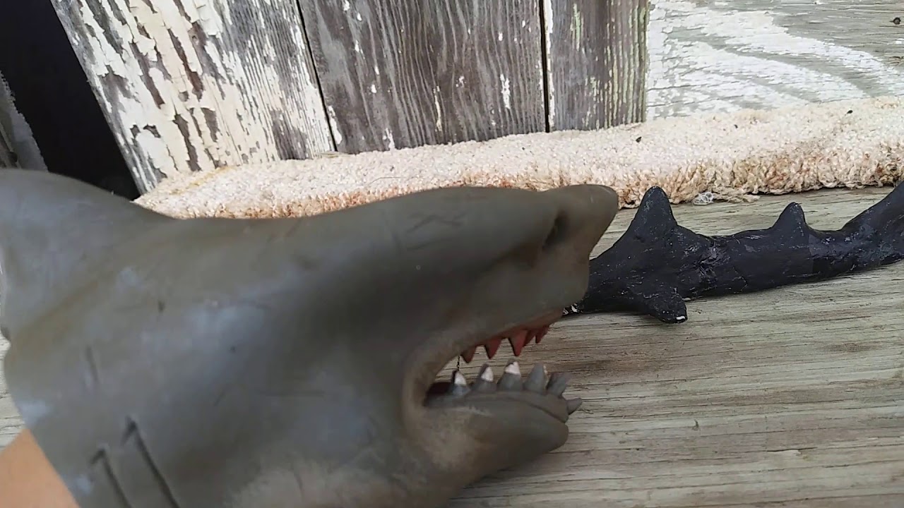 Daggernose shark clay model and shark puppet voice part 2 - YouTube