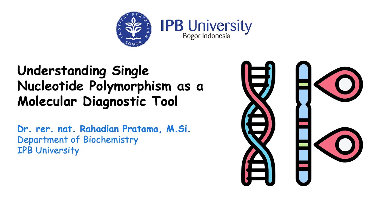Memahami Single Nucleotide Polymorphism dalam DNA - YouTube