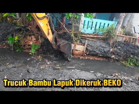 Trucuk Bambu Lapuk Kalibaru Dikeruk BEKO - YouTube