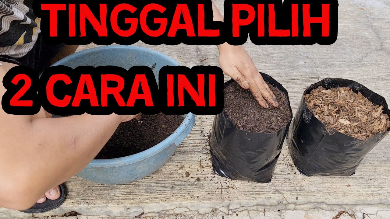 MANFAAT GEDEBOG PISANG UNTUK KESUBURAN TANAH - YouTube