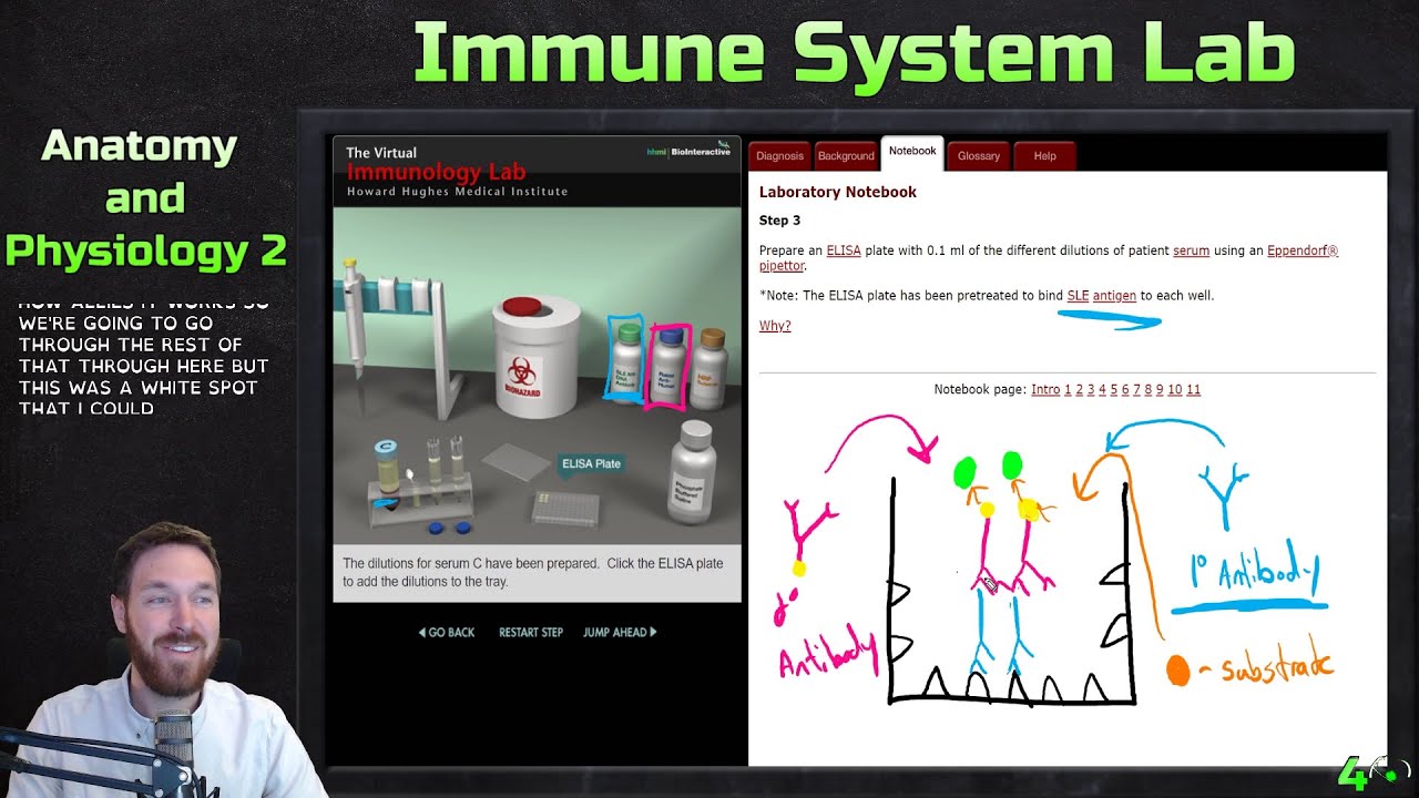 Immunology Virtual Lab using Enzyme-Linked Immunosorbent Assay (ELISA ...