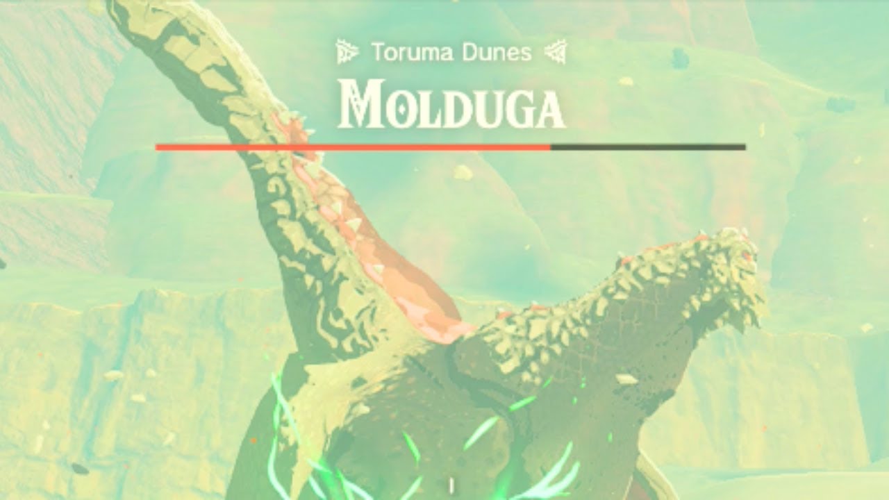 Molduga Boss Battle | The Legend of Zelda: Tears of the Kingdom - YouTube