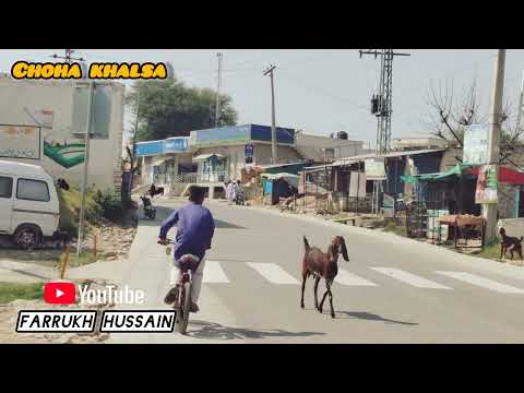 Choha khalsa bazar