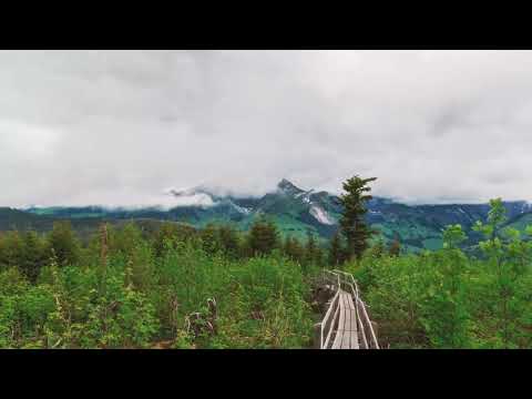 best piano music|neture WhatsApp status ❤️❤️❤️