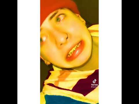 tik toks de kelvex y domelipa