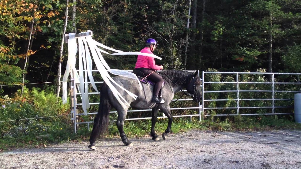 Sandra - Carwash - YouTube