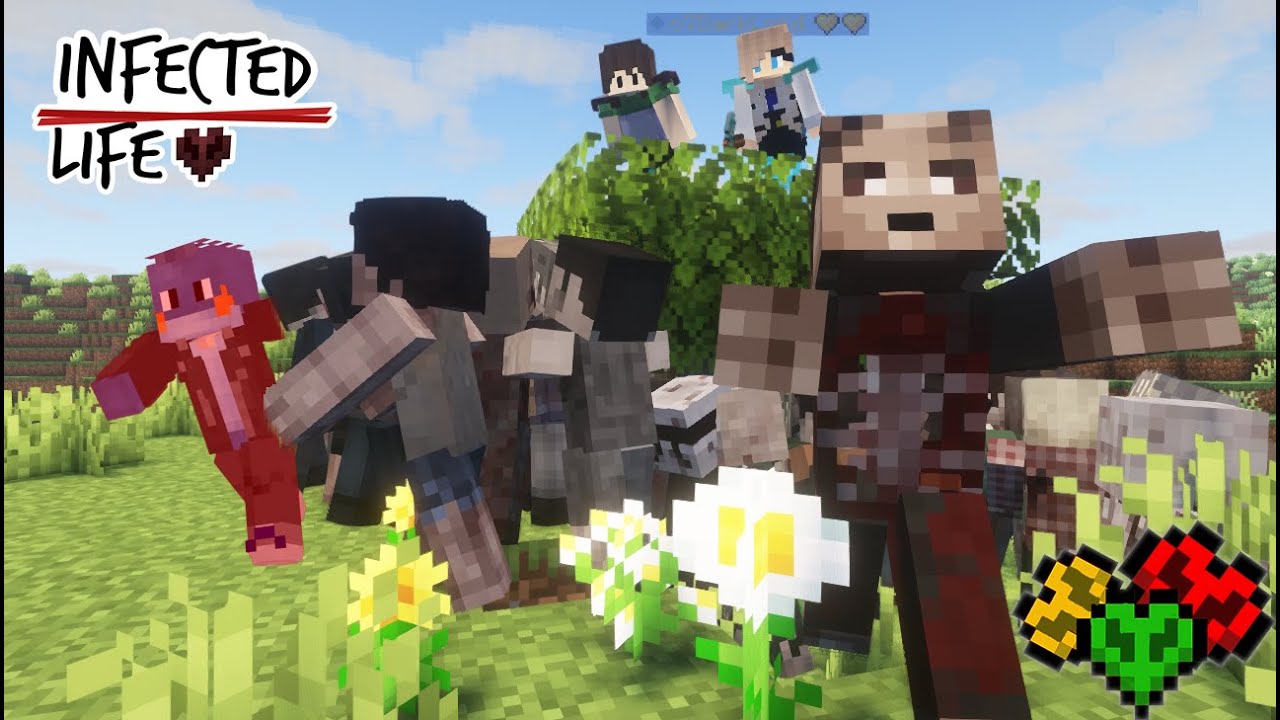 Welcome to the SMP of Absolute Insanity! - YouTube