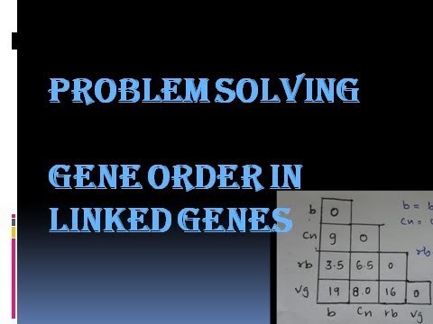 Problem Solving on Gene order in linked Genes/Genetics - YouTube