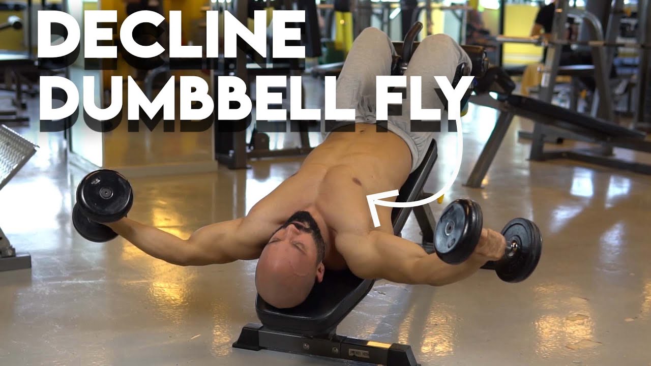 Decline Dumbbell Fly Alt Göğüs Açış Hareketi - YouTube