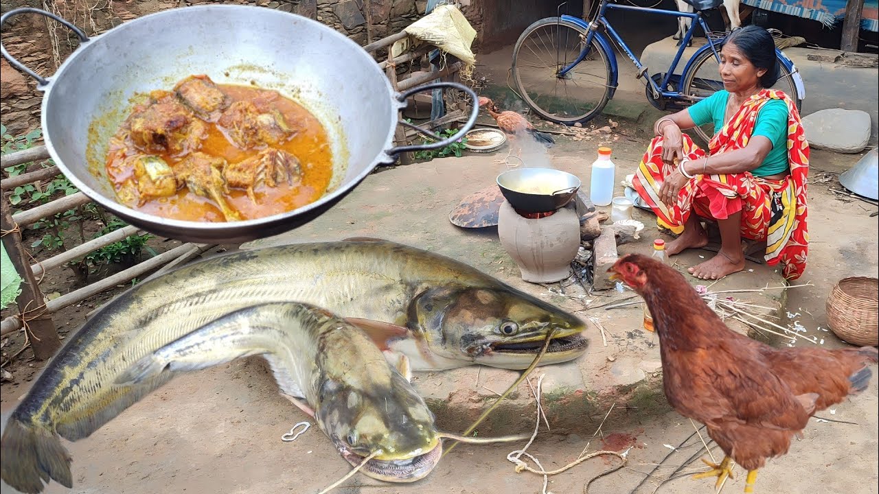 BIG Fish Curry Cooking SANTALI TRIBE people In Our Village Style ...