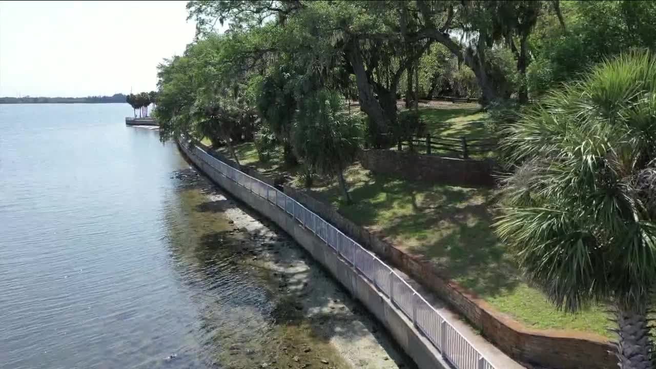 Walking Club: Exploring Philippe Park in Safety Harbor - YouTube