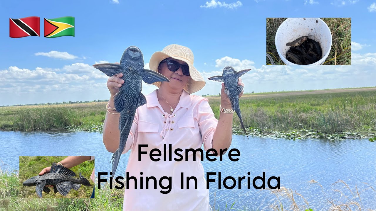 Palm Bay Fishing In Florida! ( we caught hassa and tilapia ) - YouTube