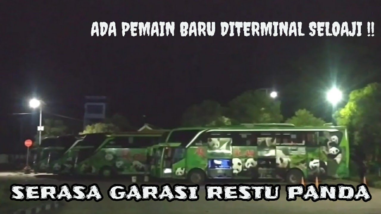 SEPERTI GARASI RESTU PANDA || TERMINAL SELOAJI ADA PEMAIN BARU !! - YouTube