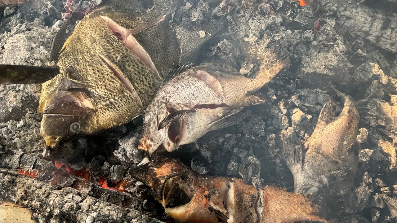 🦀Picnic Day at the beach catch and cook fish in open fire enjoyed with ...
