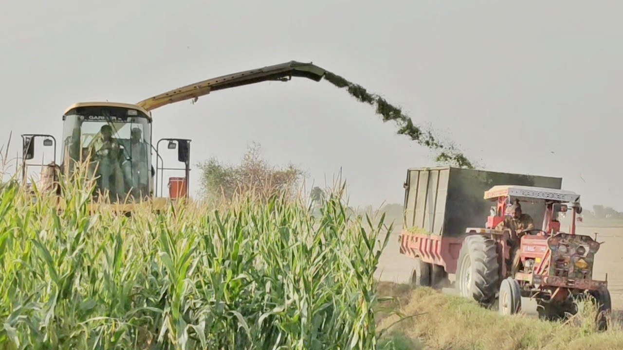 Corn Silage making machine || Big Silage machine - YouTube