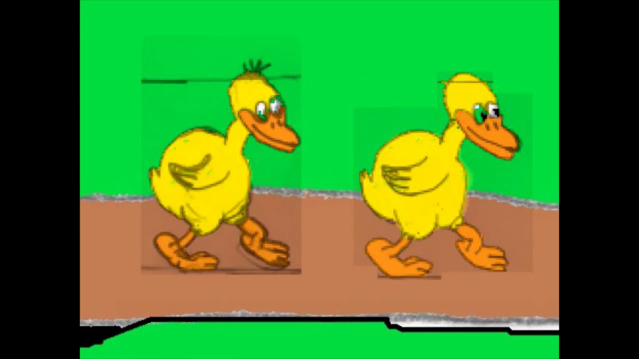 The Curious Duckling - YouTube