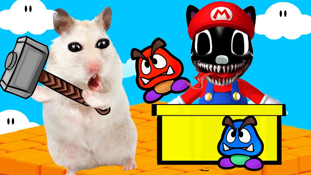 🐹 Hamster Mario Escapes Cartoon Cat ! 🐹 Real Life Hamster - YouTube