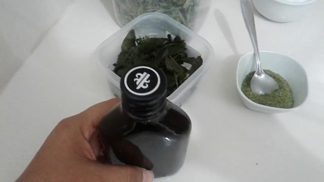 COMO HACER ESENCIA DE STEVIA CASERA - YouTube