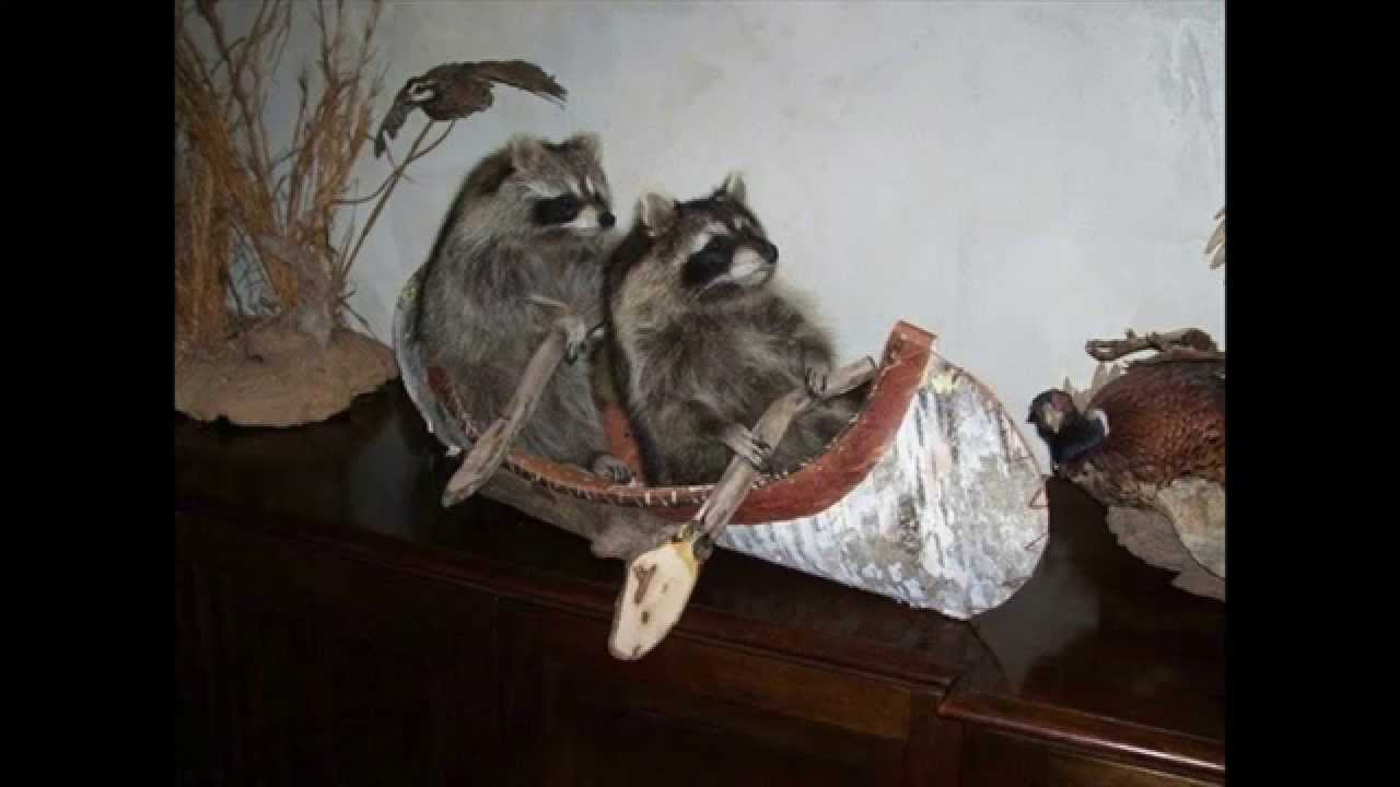 Badly Stuffed Animals Compilation - YouTube