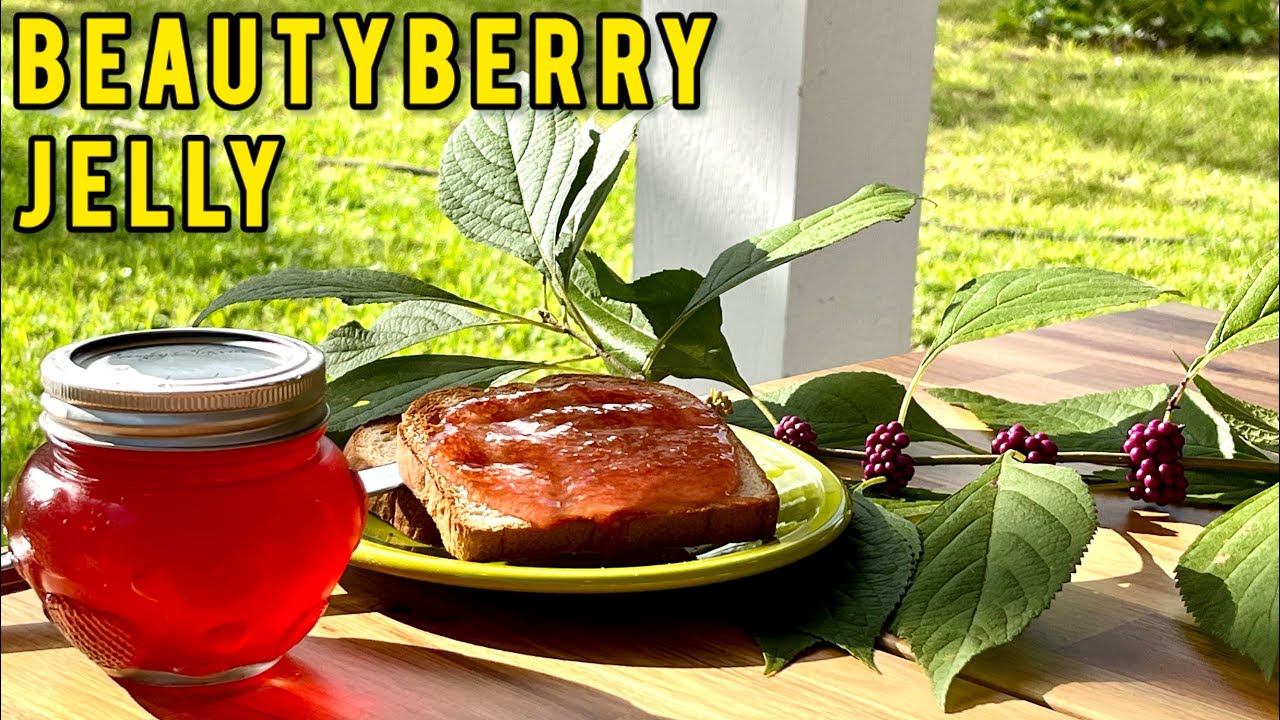 All About American Beautyberry Plus How to Make Beautyberry Jelly - YouTube