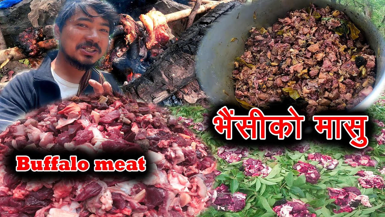 buffalo meat cooking and enjoying in village jungle 🍖 Water Buffalo ...