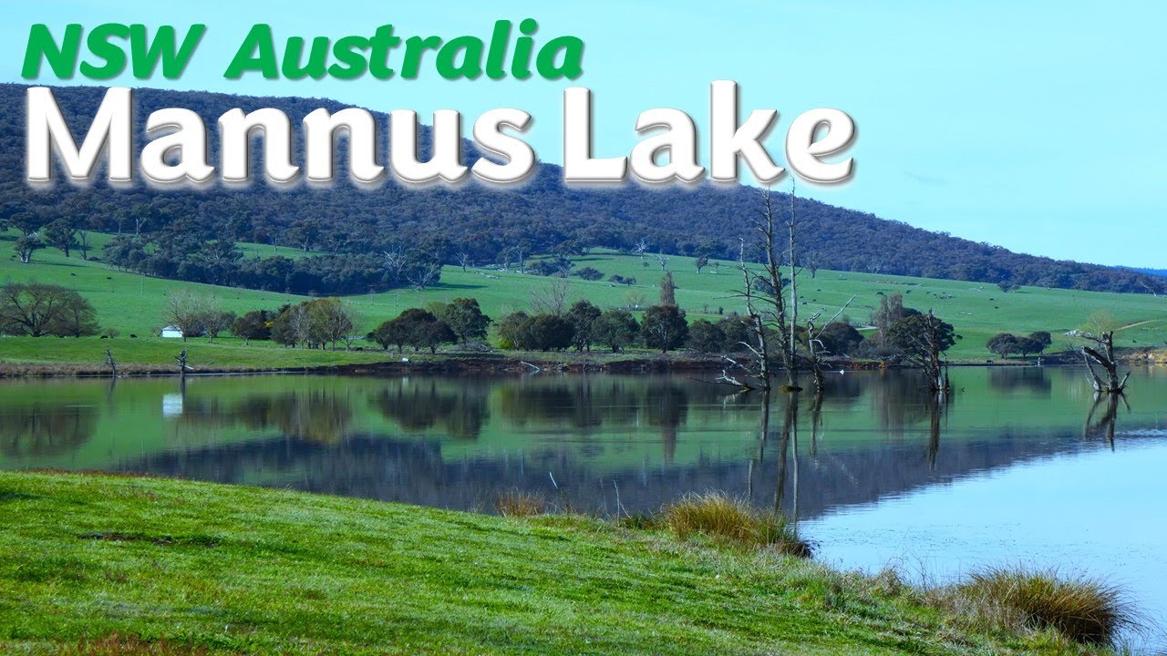 Car camp: Mannus State Forest NSW Australia - What's the crack? - YouTube