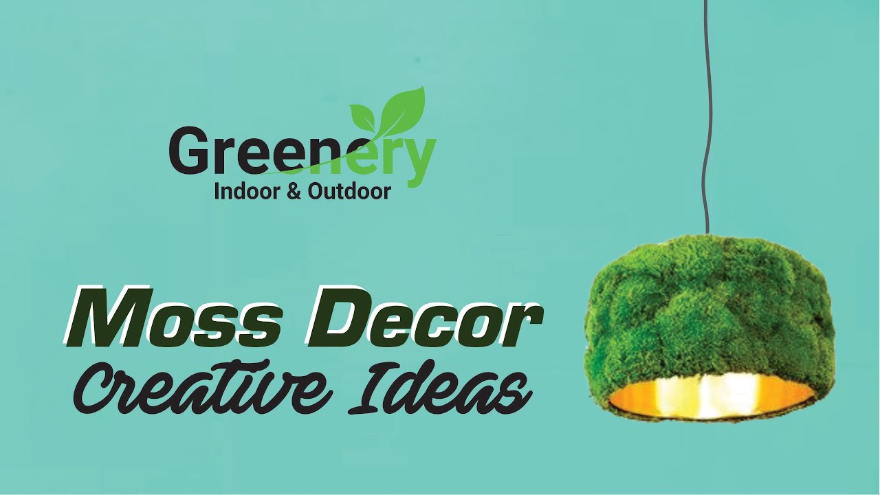Moss Decor Creative Ideas - YouTube