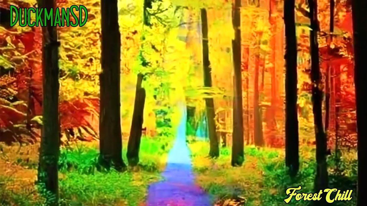 Forest Chill - A LoFi Trip Through The Forest, Chill Relaxing Study ...