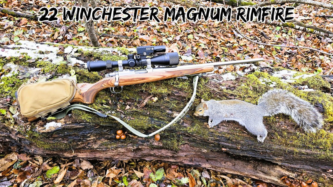 Windy Day Squirrel Hunt With the 22 WMR - YouTube