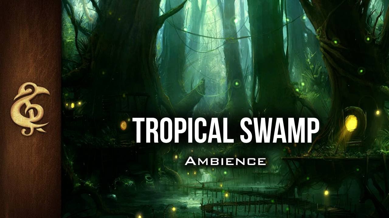 Tropical Swamp | Animals, Natural RPG Ambience | 3 Hours - YouTube