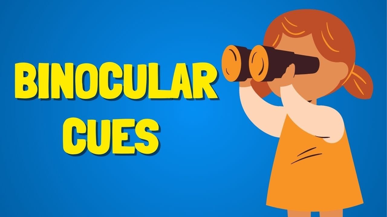 Binocular Cues Explained: How We See the World in 3D. Science of Depth ...
