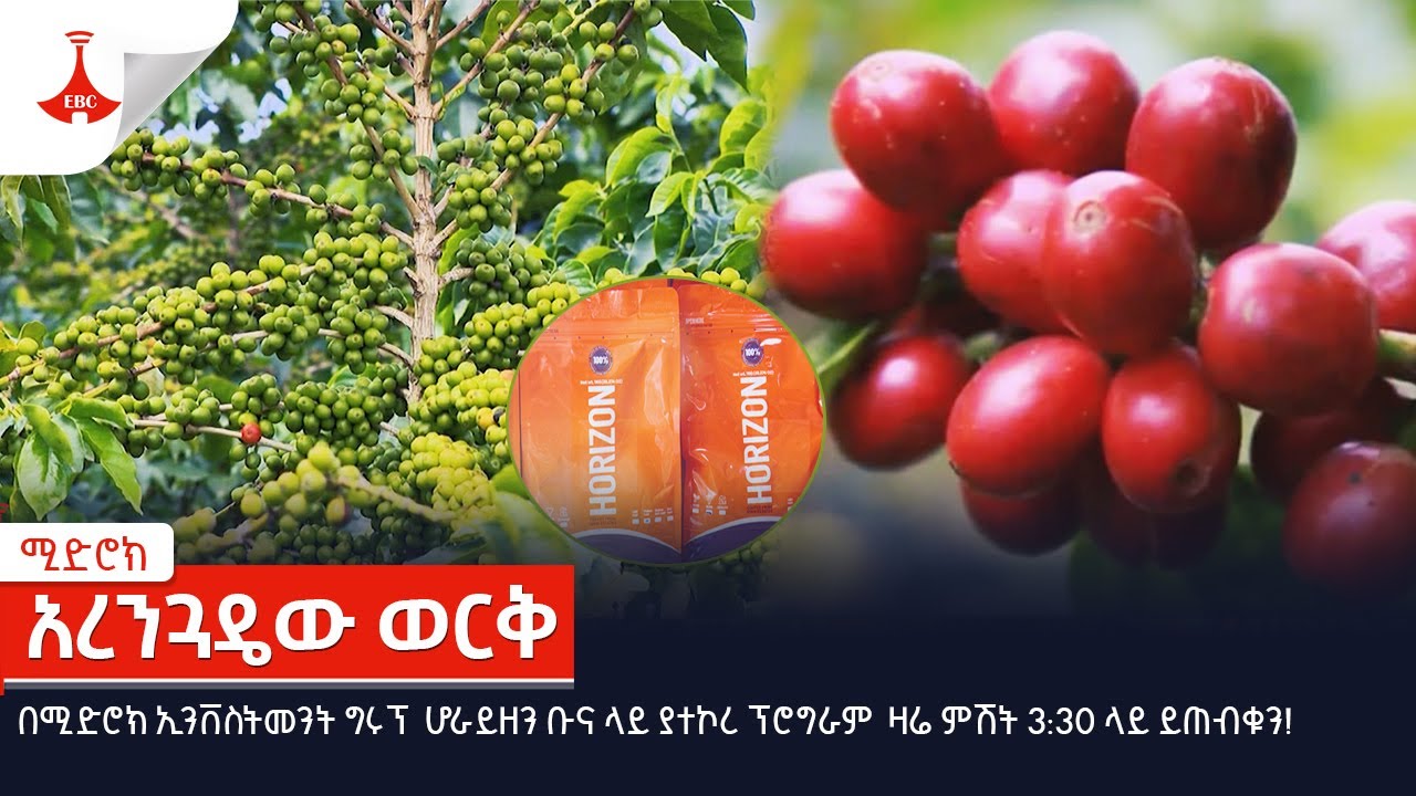 ሚድሮክ | አረንጓዴው ወርቅ| MIDROC Investment Group Etv | Ethiopia | News # ...