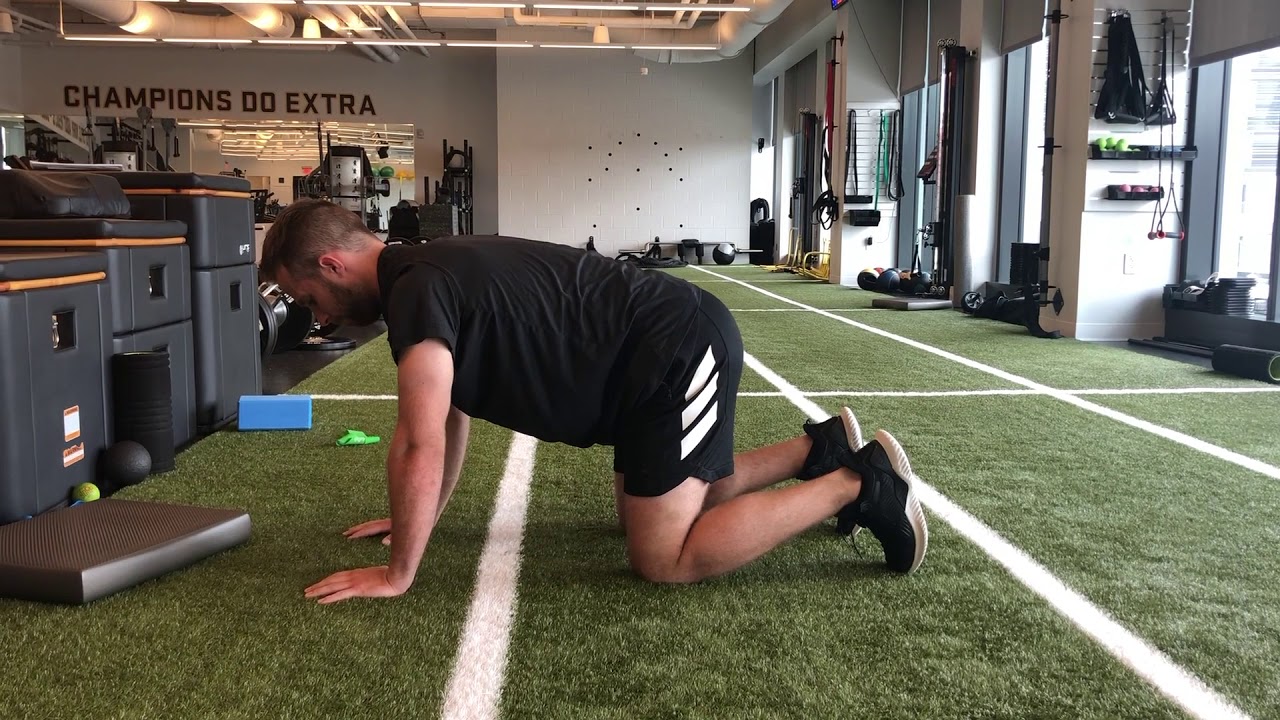 Quadruped Pelvic Tilt Hold - YouTube