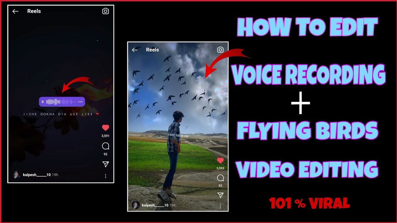 How To Edit Voice Recording & Flying Birds Video Editing | - YouTube